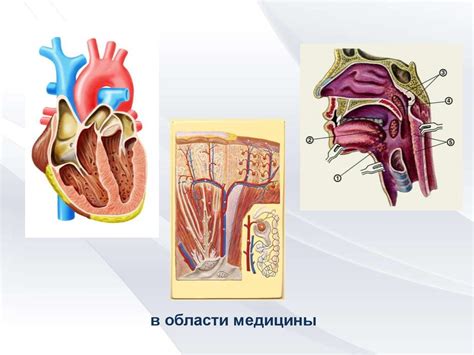 Общие сведения о сечениях и разрезах презентация онлайн