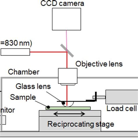 Schematic Of Tds Gc Ms Measurement Download Scientific Diagram