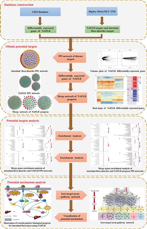 Integrated Bioinformatics Analysis Reveals Potential Mechani Medicine