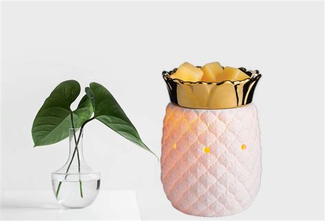 Electric Fragrance Warmer Electric Wax Warmer Plug In Warmer Home