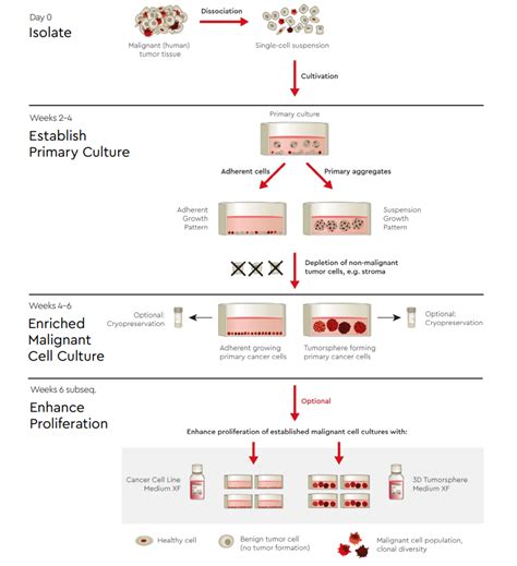 Primary Cancer Culture System An Innovative Solution