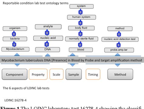 Figure 1 From Exploring The Use Of Ontologies And Automated Reasoning