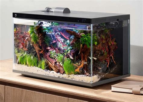Новости — Гаджет дня: аквариум Xiaomi с автокормушкой и RGB-подсветкой