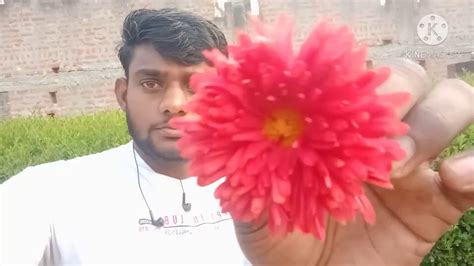 Koi Jannat Ki Vah Hur Nahin Mere College Ki Ek Ladki Hai HD Full Song