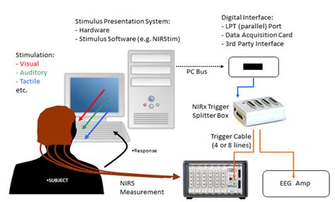 fnirs eeg fnirs systems nirs devices nirx
