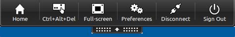 Change How Desktops Look And Work Citrix Workspace App For Linux