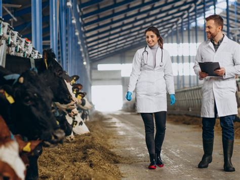 Navigating Dairy Industry Trends With NavFarm And Microsofts D365