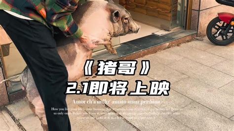 预告片猪肉 猪蹄的家常做法 宠物猪 Youtube