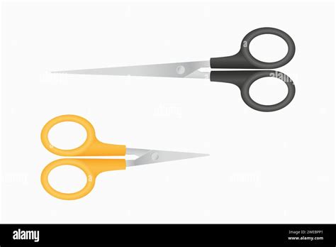 Two Types Of Scissors For Different Uses Vector Illustration Of