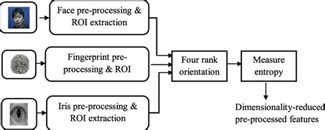 Block Diagram Of Four Rank Contourlet Transform Model Download