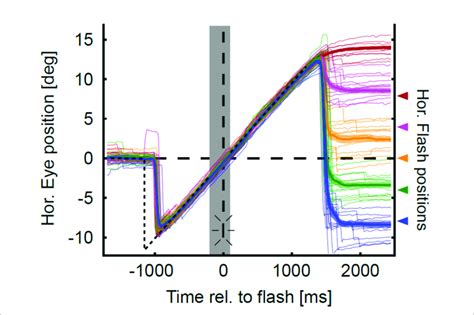Eye Position Traces In The Gap Condition Sample Horizontal Eye