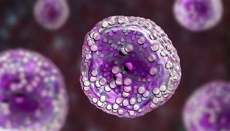 Día Mundial De Concientización Sobre Linfoma Portal Salud