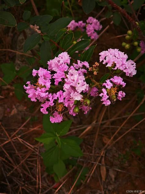 高性能并行计算面试 核心概念 问题理解高性能计算面试题 Csdn博客 高性能并行计算面试 核心概念 问题理解高性能计算面试题 Csdn博客