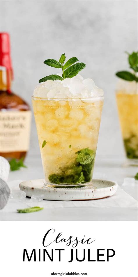 Classic Mint Julep Cocktail L A Farmgirls Dabbles