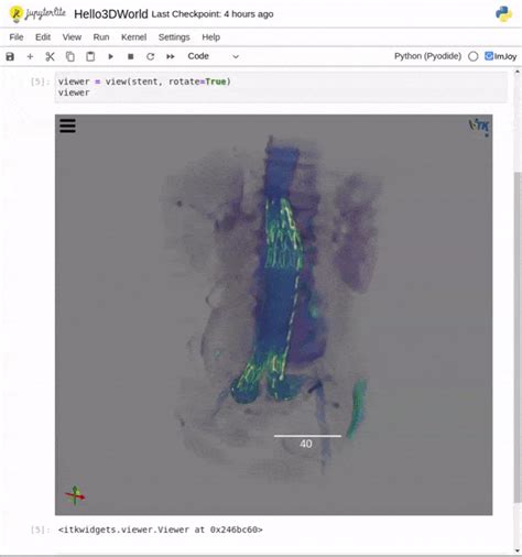 Embed Interactive Itkwidgets 3d Renderings Into Jupyterlite Deployments