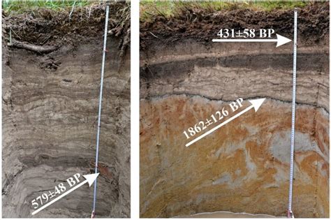Soils And Results Of Radiocarbon Dating Download Scientific Diagram