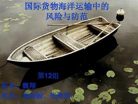 国际货物海洋运输word文档在线阅读与下载无忧文档