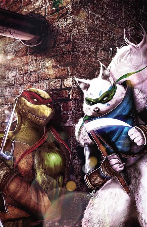 Tmnt Vol V 110 Idw Tmnt A Collection