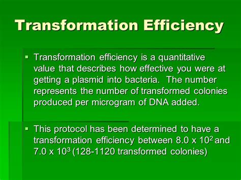 38 Calculating Transformation Efficiency Narenvojtech
