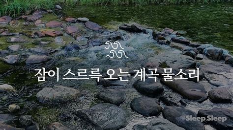 잠이 잘 오는 계곡 물소리 잔잔한 음악 ASMR Nature Sounds YouTube