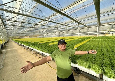 Seedling Production An Opportunity For Small Farmers Agriculture Monthly