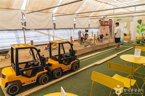 더플레이그라운드