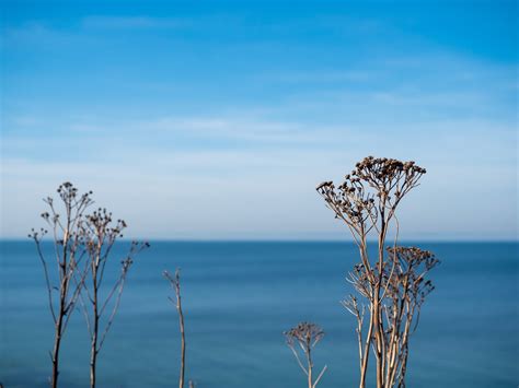 Ostsee Steilküste Im Winter Küstenfan