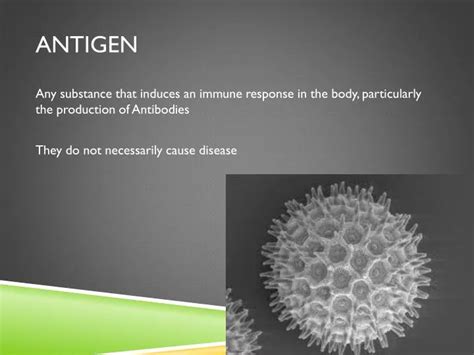 Ppt Antigen Powerpoint Presentation Free Download Id2187725 Ppt Antigen Powerpoint Presentation Free Download Id2187725
