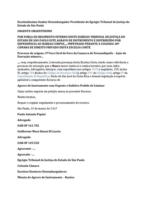 Modelo Agravo De Instrumento Contra Decisao Que Indefere Excecao De Pre