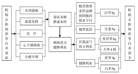 桂枝去桂加茯苓白术汤证 仲景方证解读与应用 医学