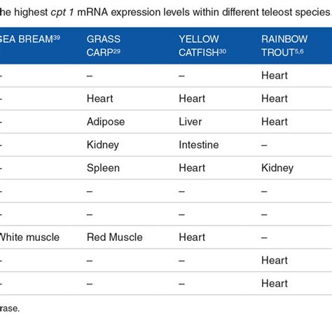 Tissues Reported As Having The Highest Cpt 1 Mrna Expression Levels