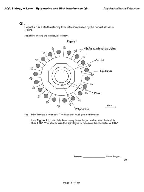 82 Epigenetics And Rna Interference Qp Pdf Molecular Biology Genetics 82 Epigenetics And Rna Interference Qp Pdf Molecular Biology Genetics