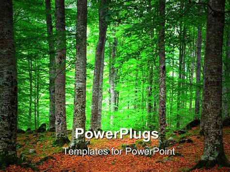 Powerpoint Template Free Forest