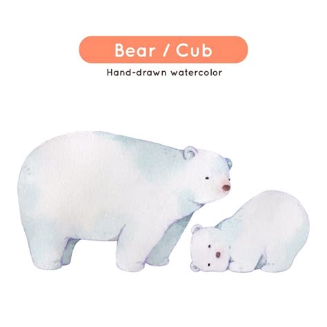 Ilustração em aquarela de urso polar Vetor Premium