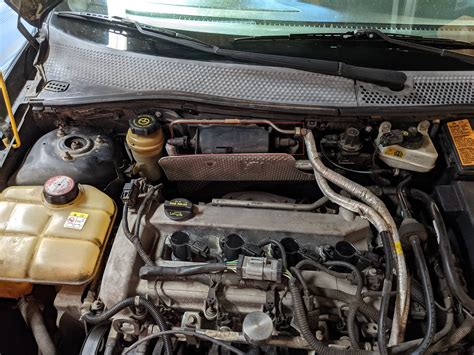 What Are These Focus Fanatics Forum