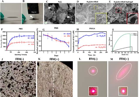A B Fe 3 S 4 Ferrofluid Hydrogel Could Be Attracted By A Magnet
