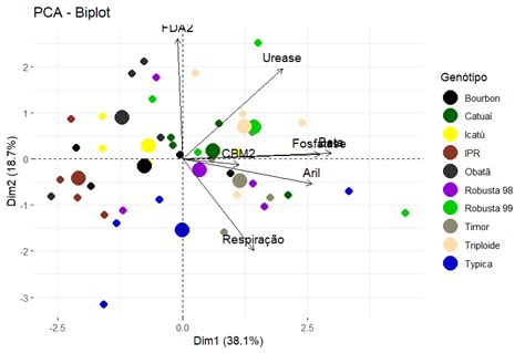 R How To Set The Same Size To All Points In Pca From Fvizpcabiplot