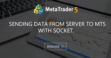 Sending Data From Server To Mt5 With Socket Mt5 Expert Advisors And Automated Trading