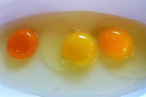 LÒNG ĐỎ TRỨNG GÀ CÓ MÀU NHƯ THẾ NÀO MỚI TỐT CHO SỨC KHỎE Nam An Market