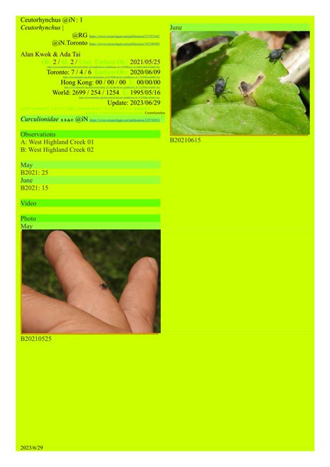 Pdf Ceutorhynchus In