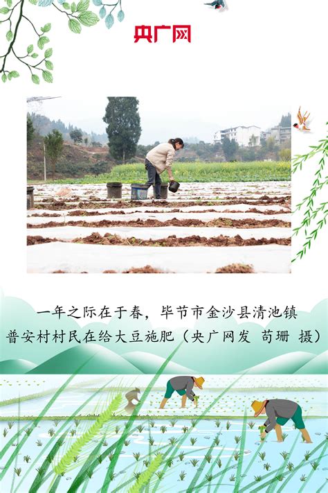 贵州：绘好“春耕图” 孕育“丰收景” 大河网