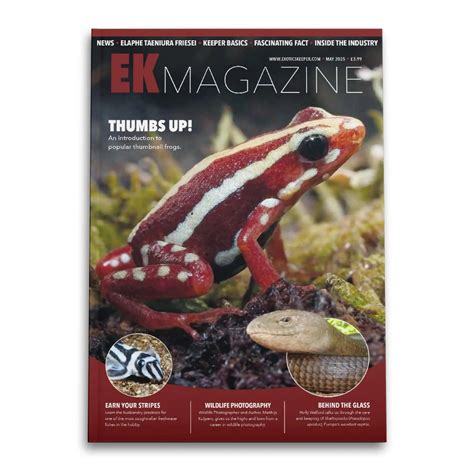 African Rock Python Care Guide Diet Enclosure And Temperature Needs