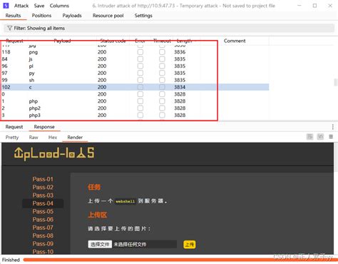 尝试fuzz测试文件上传靶场的黑名单上传fuzz测试 Csdn博客