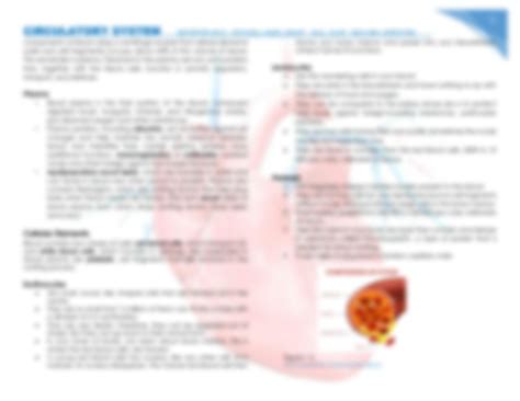 SOLUTION Circulatory System Handouts Studypool