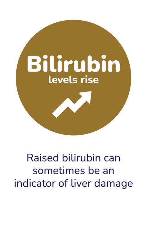 Know Your Numbers Pbc Foundation