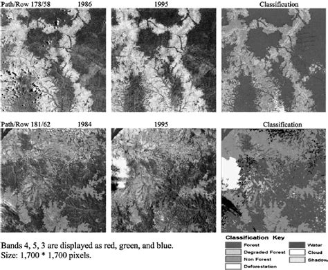 Selected Classified Landsat Tm Images Showing The Deforestation Pattern Download Scientific
