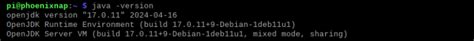 How To Install Java On Raspberry Pi PhoenixNAP KB