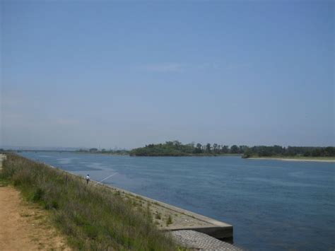 名取川河口 海の釣り場情報