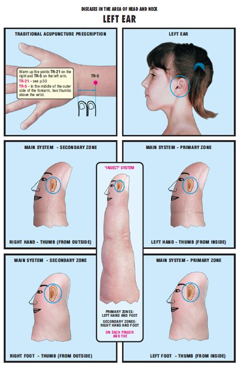 Ear Sujok Prescription 9 Learn Self Healing Techniques Online