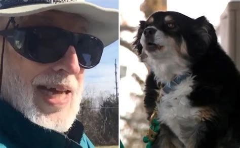Perro Hereda Millones De Dólares De Empresario Fallecido